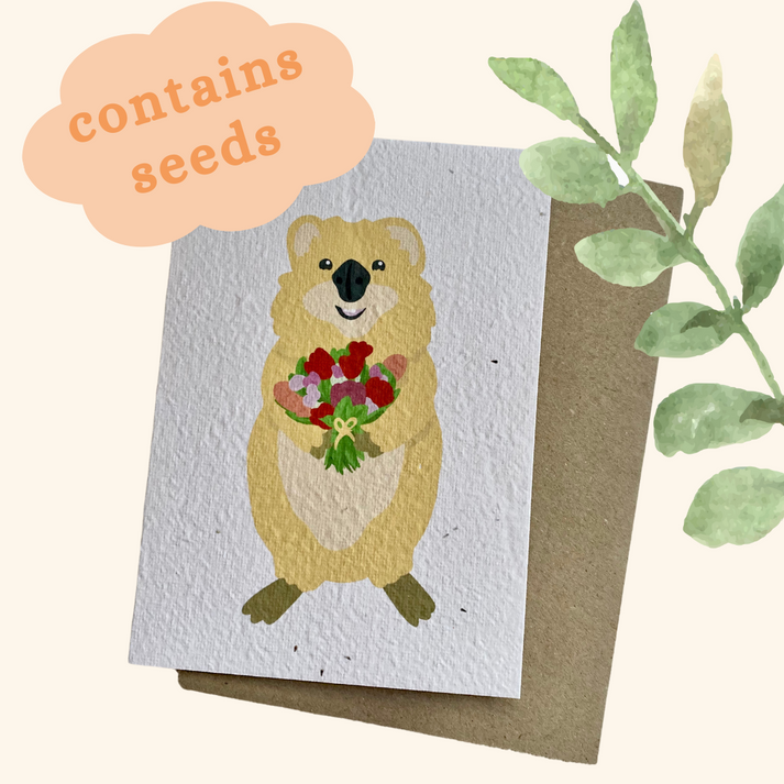 plantable quokka card – little read book co